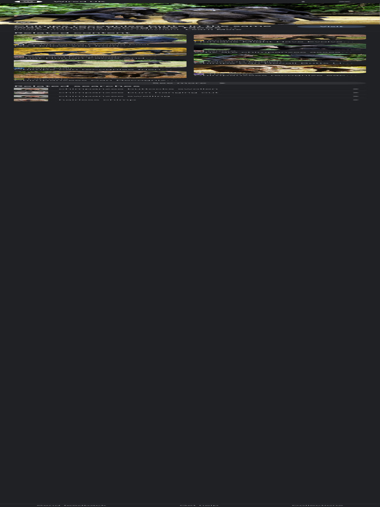 Chimp Standing - Google Search | PDF