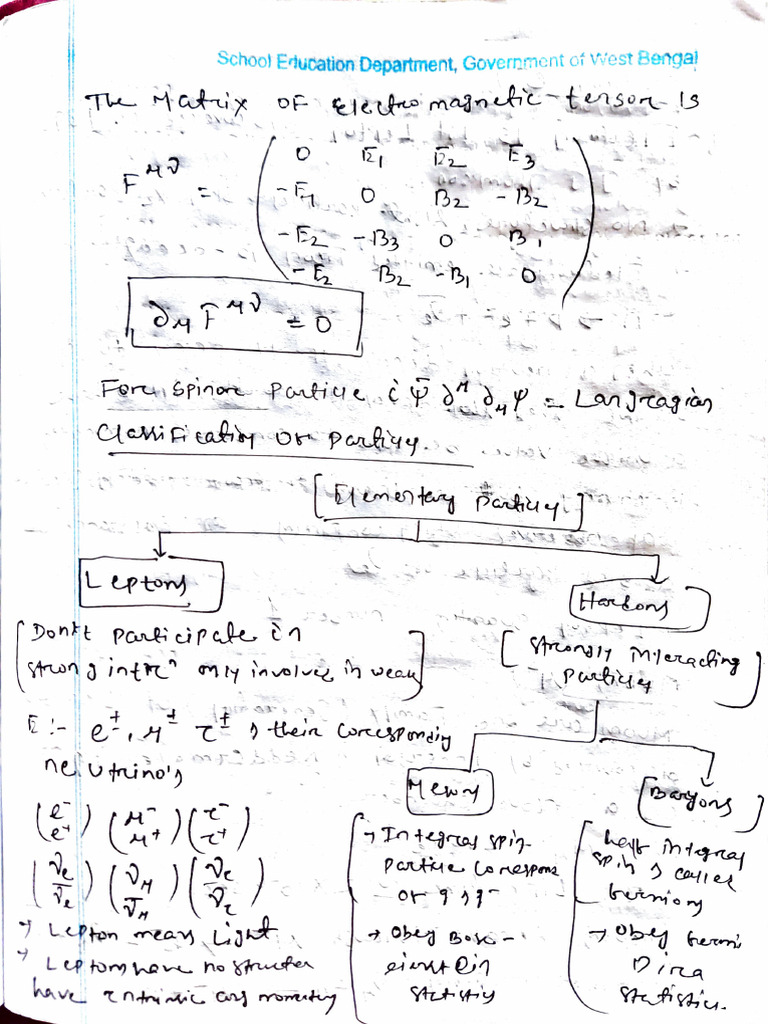 Elementary particles | PDF