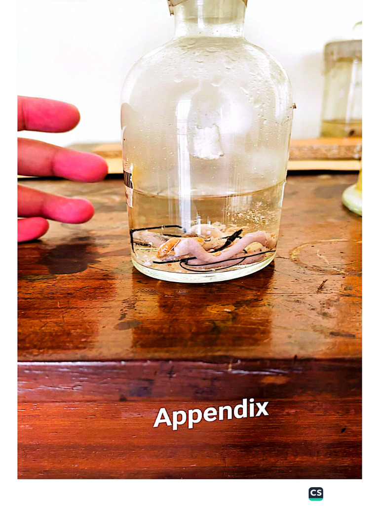 Patho 2nd Term Specimen | PDF