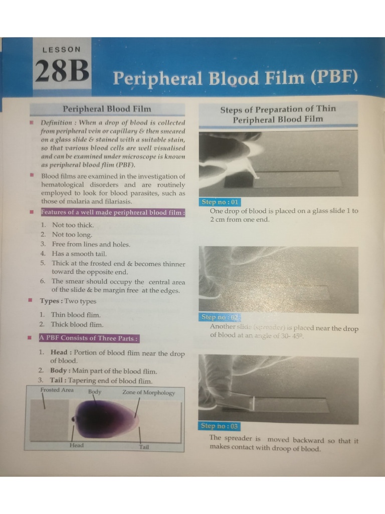 Patho PBF Practical | PDF
