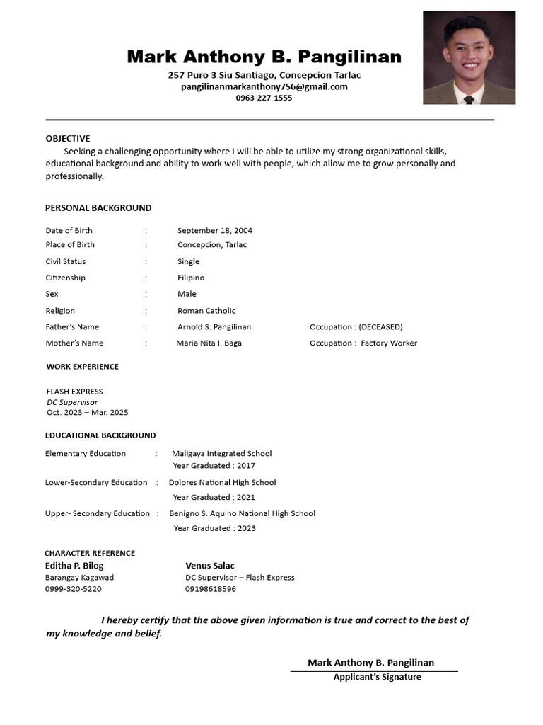 CV Mark Anthony | PDF