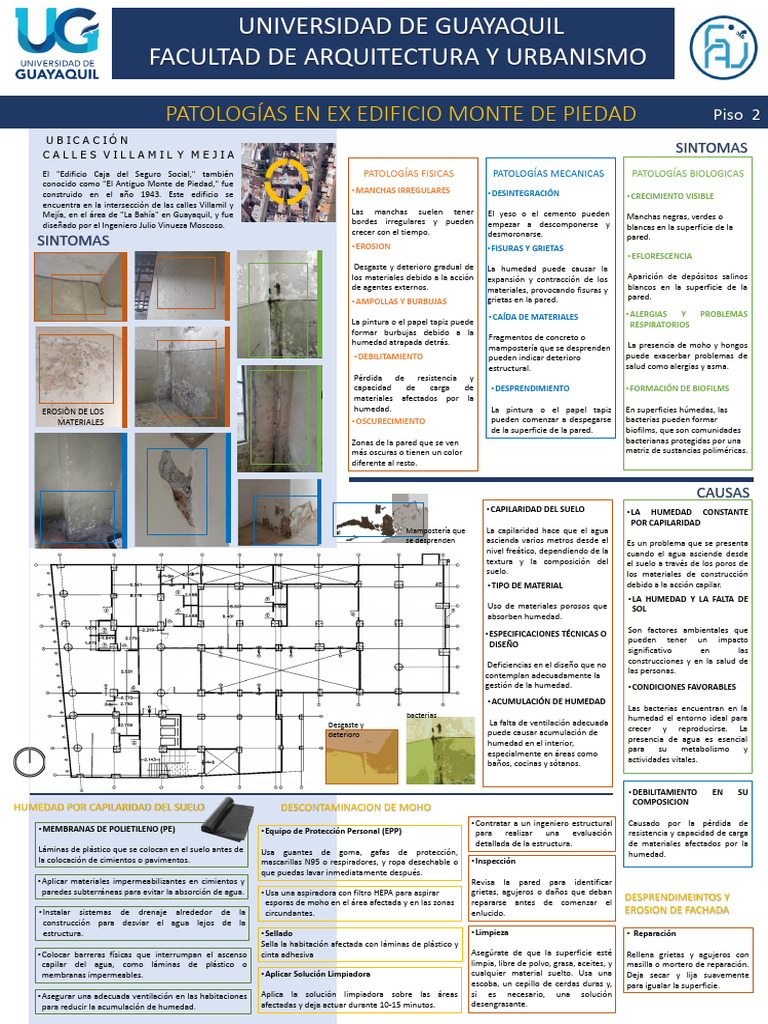 Infografia Edificaciones Patologias | PDF | Suelo | Las bacterias