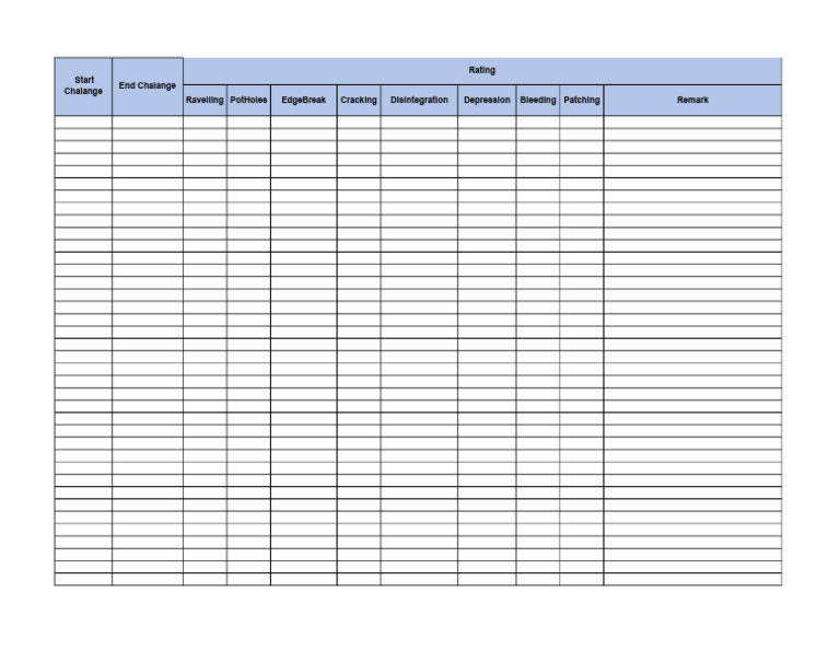 Visual Condition Survey Sheet | PDF