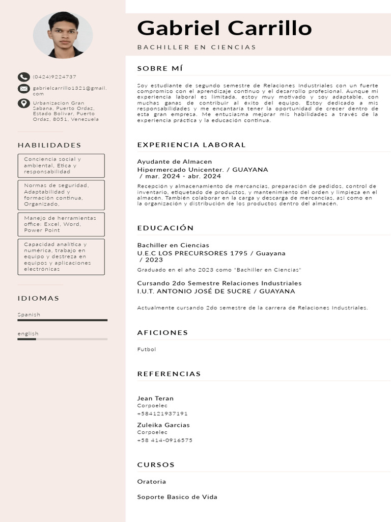 CV-Gabriel Carrillo Rondon | PDF