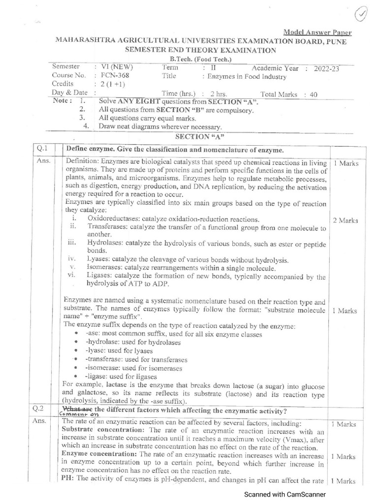FCN 368 Model Answer Key | PDF