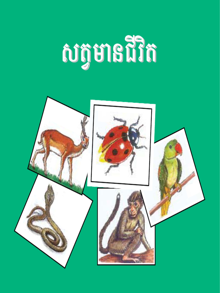 CYK-16 សត្វមានជីវិត Animals | PDF