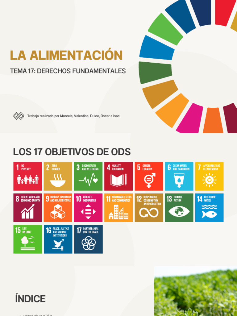 Ods 2 | PDF | Seguridad alimentaria | Sustentabilidad