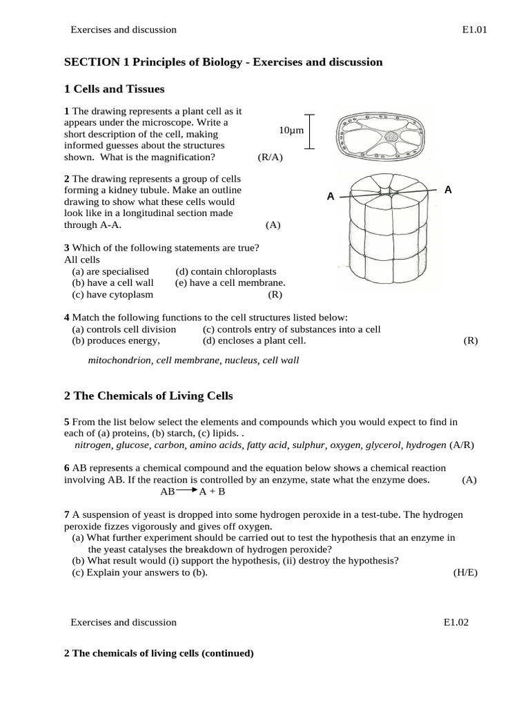 Exercises 01 Principles of Biology | PDF | Enzyme | Photosynthesis