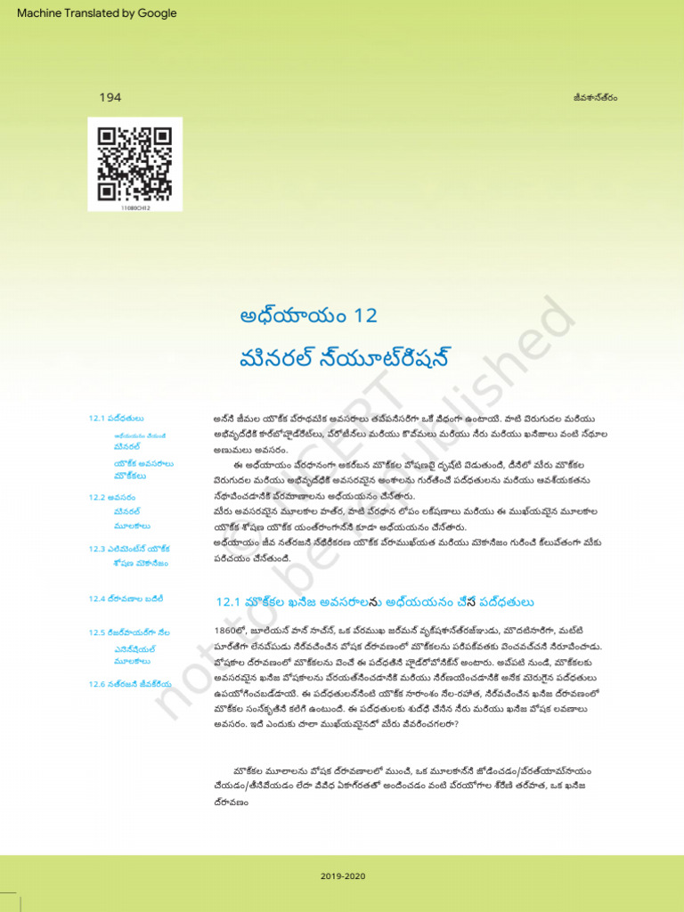 11 Biology NCERT Chapter 12 | PDF