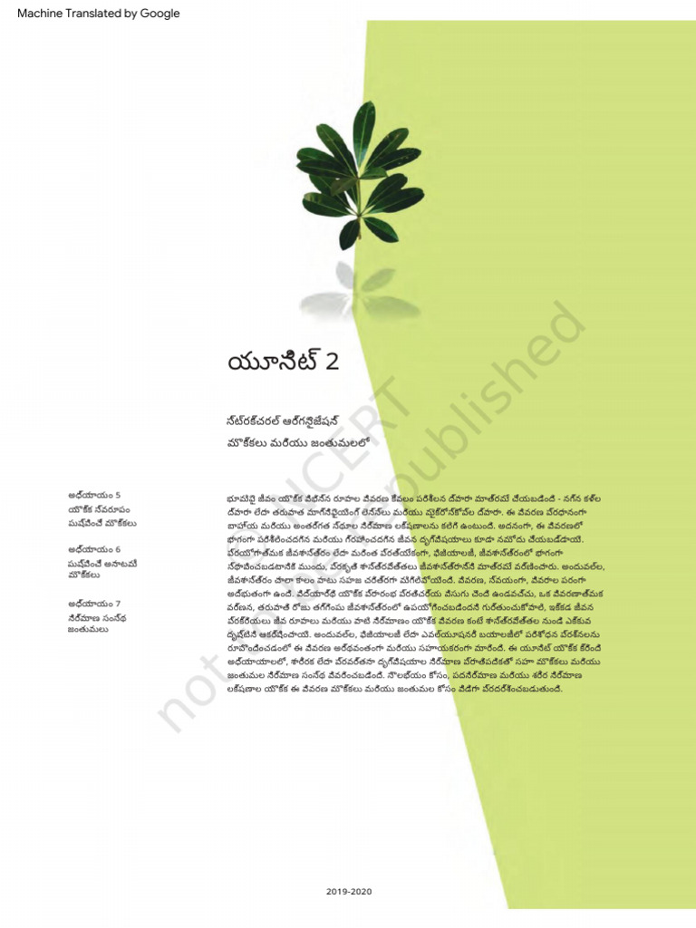 11 Biology NCERT Chapter 5 | PDF