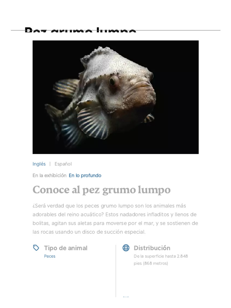 Pez Grumo Lumpo - Animales - Acuario de La Bahía de Monterey | PDF ...