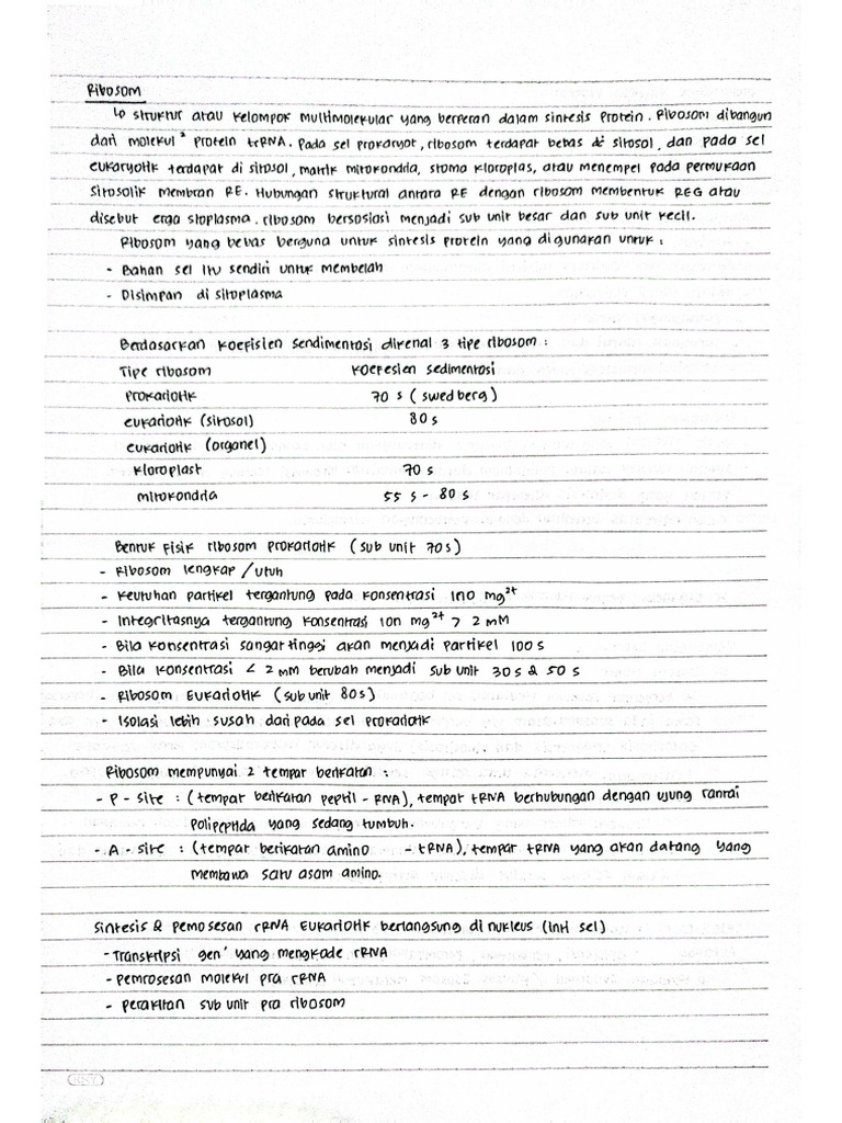 Ribosom_ Rojwa Salsabila | PDF