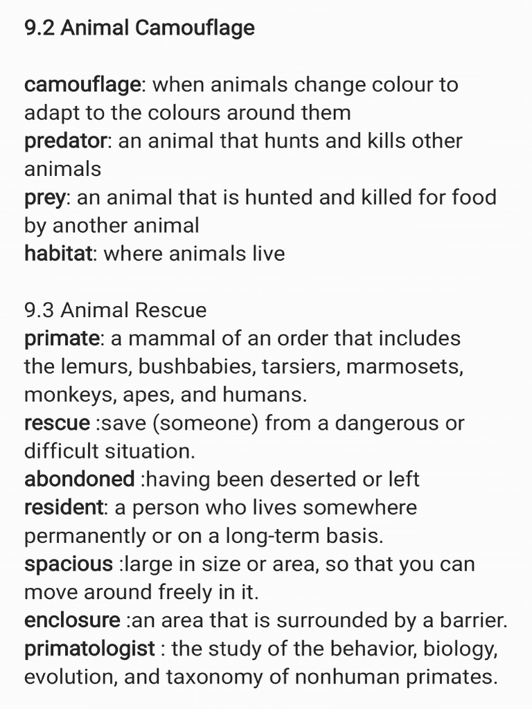 Grade 4 English Language Lesson 9 | PDF
