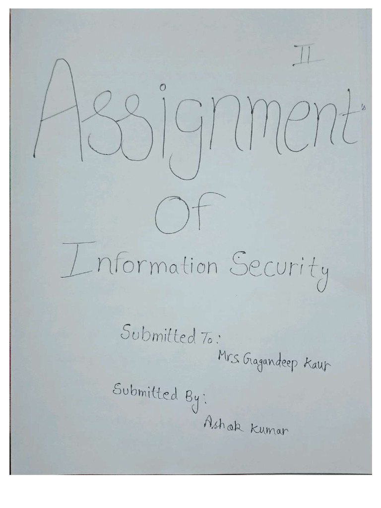 Information Security Assignment 2 | PDF