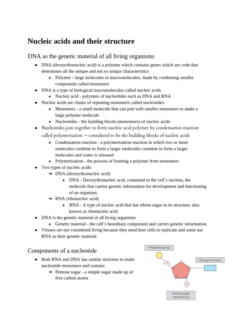 Finals A1.2 Nucleic Acid | PDF | Nucleotides | Nucleic Acids