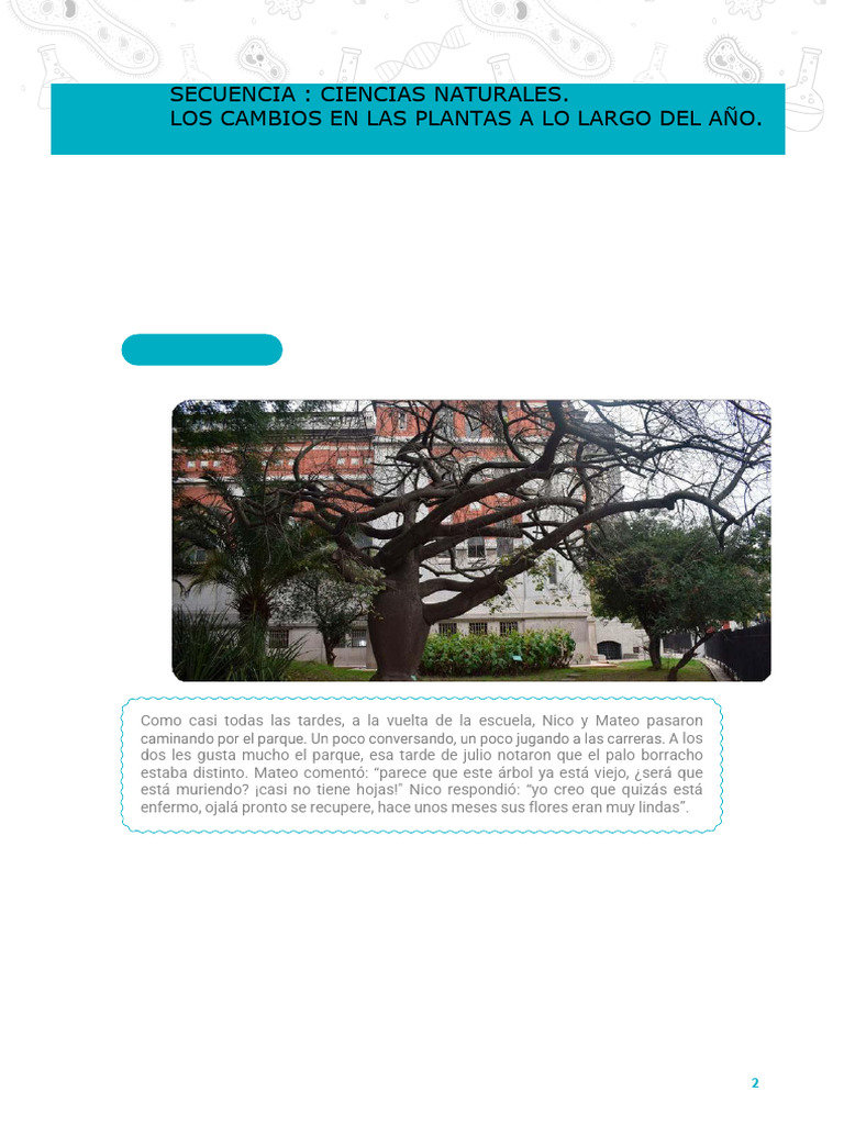 Cs Naturales Los cambios en las plantas a lo largo del año 3ro | PDF ...