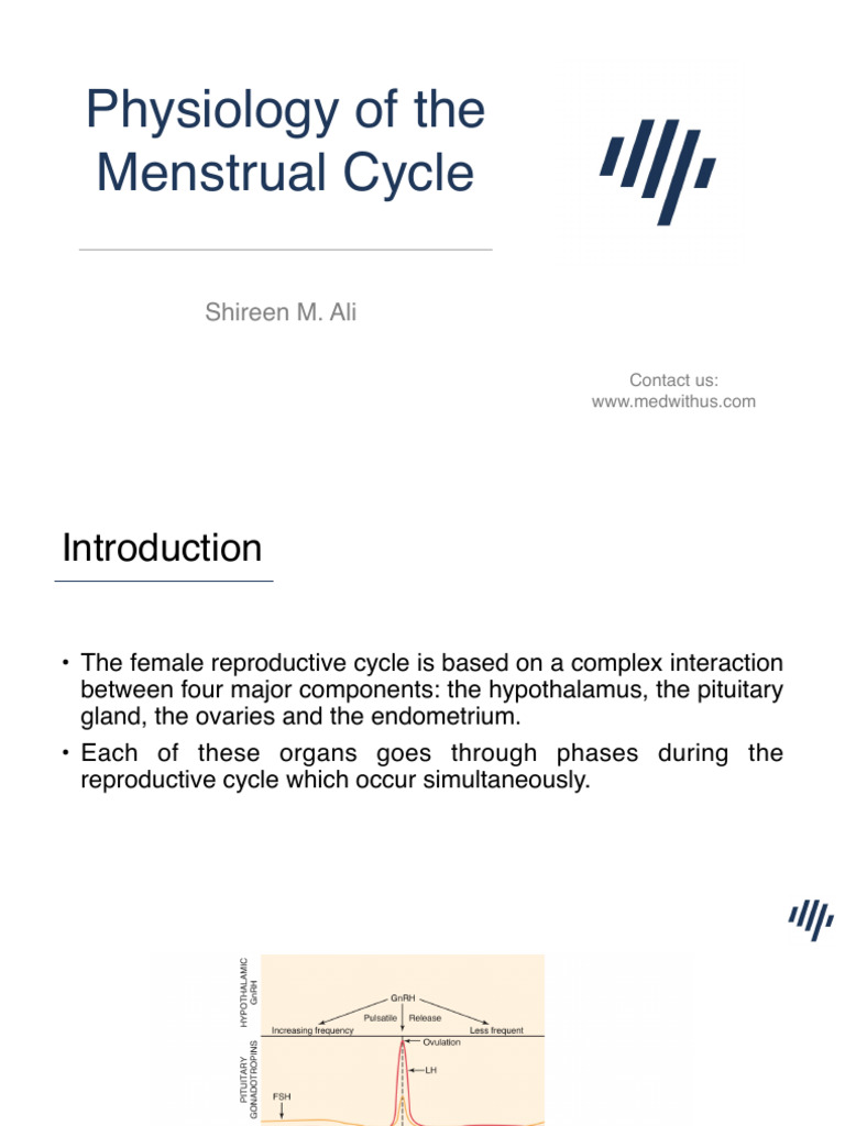 Menstrual Cycle Physiology Explained | PDF | Menstrual Cycle ...