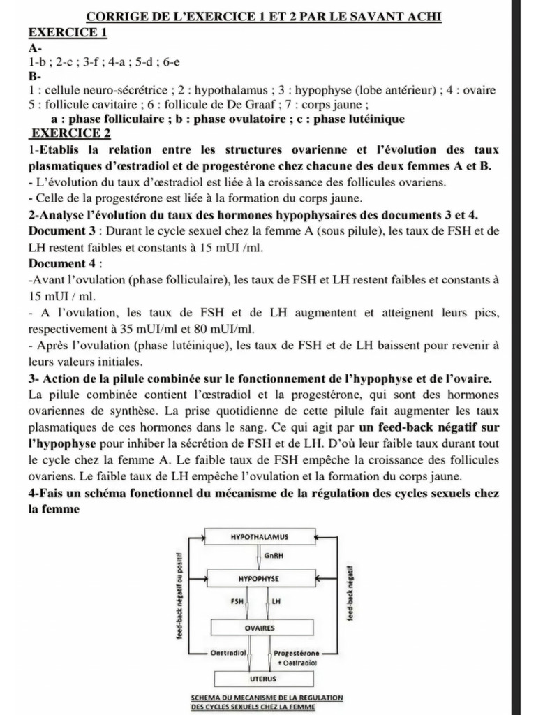 PDFReader 20250104 1114 | PDF