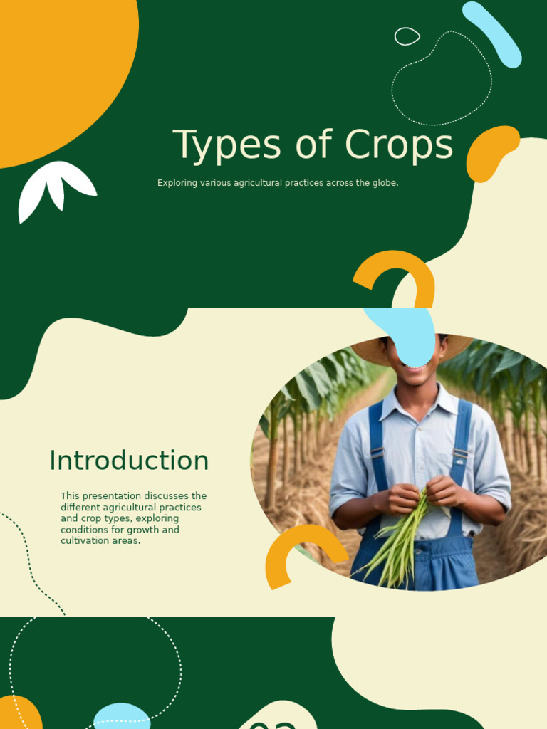 Types and Importance of Cash Crops | PDF | Agriculture | Cash Crop