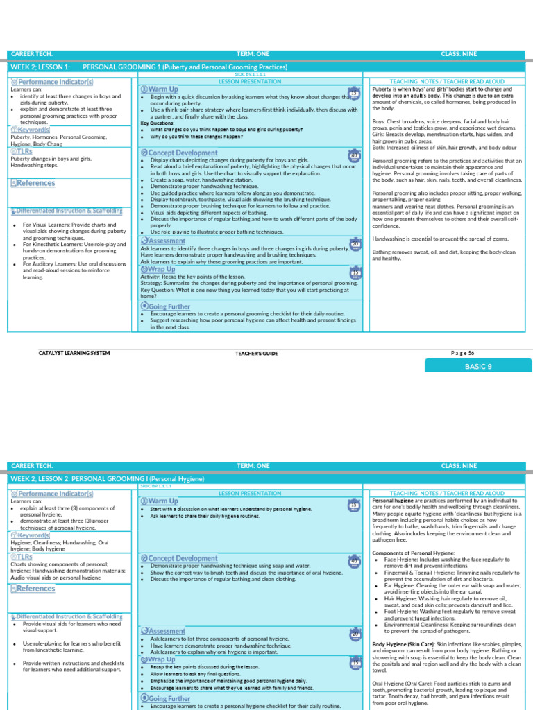 16 AVA CAREER TECHNOLOGY 1st Term LESSON PLAN TERM 1 BASIC 9 | PDF | Hygiene | Oral Hygiene