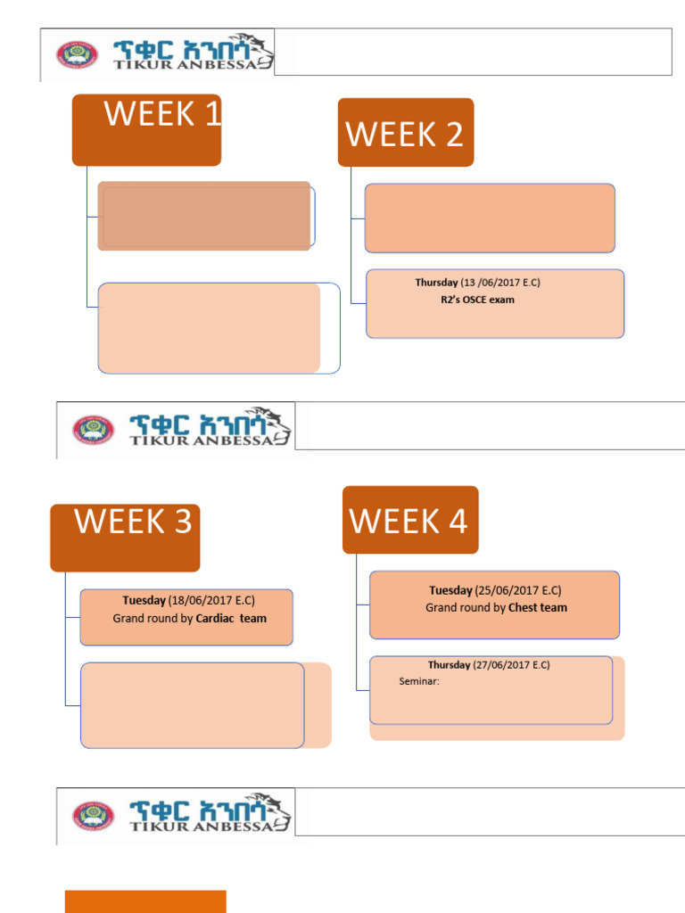 Yekatit Teaching Activities - 2017 E | PDF