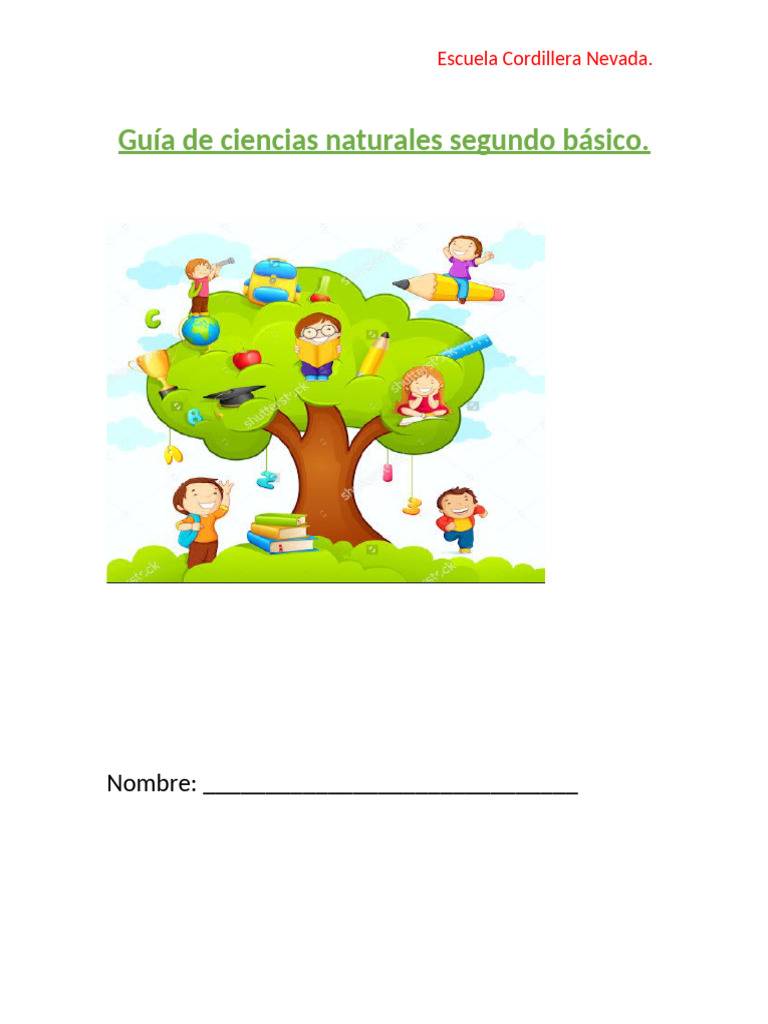 Guía de Ciencias Naturales Segundo Básico | PDF