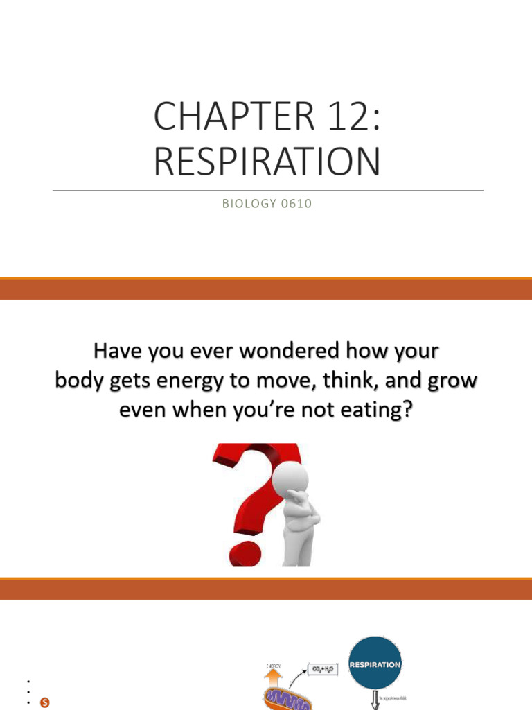 Understanding Oxygen Debt in Respiration | PDF | Cellular Respiration ...