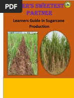 Profile of NSIC RC 160 and 218 | PDF | Crops | Agronomy