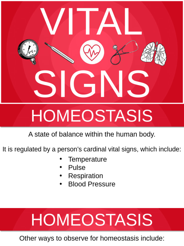 Understanding Vital Signs and Homeostasis | PDF | Blood Pressure | Pulse