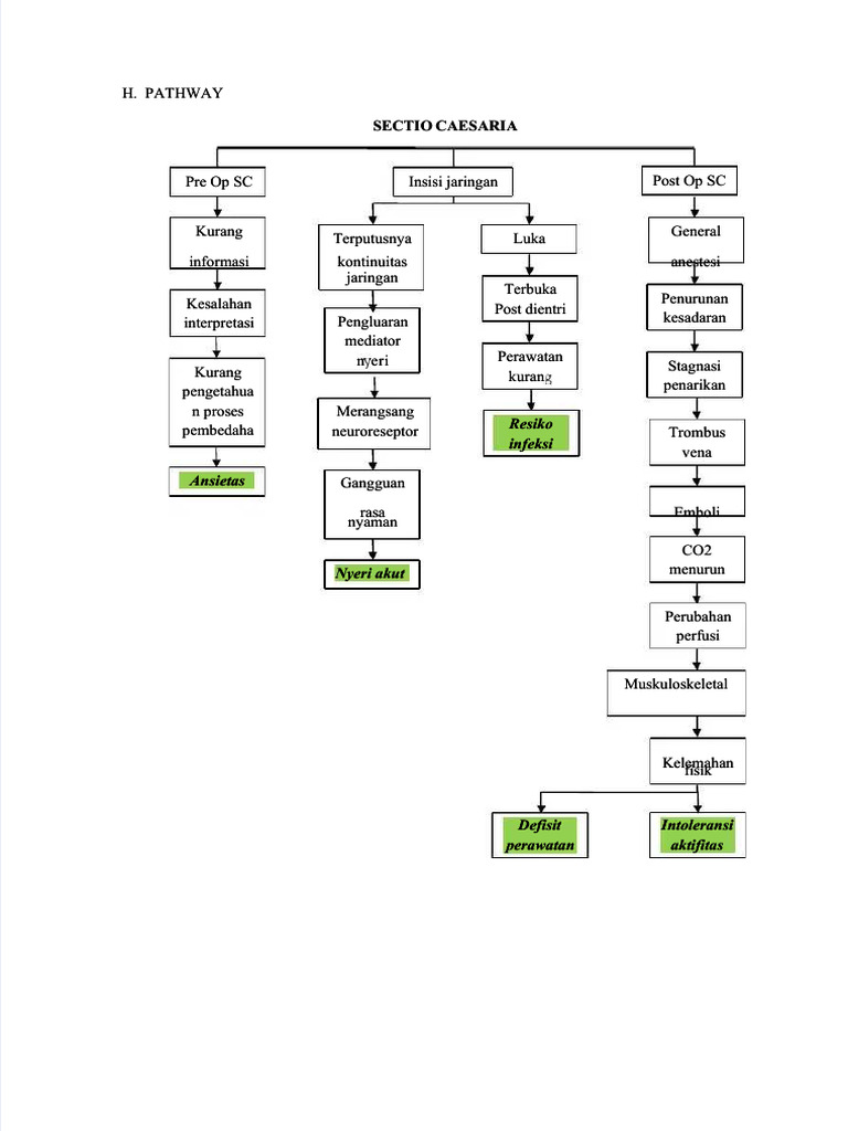 PDF Pathway SC Compress | PDF
