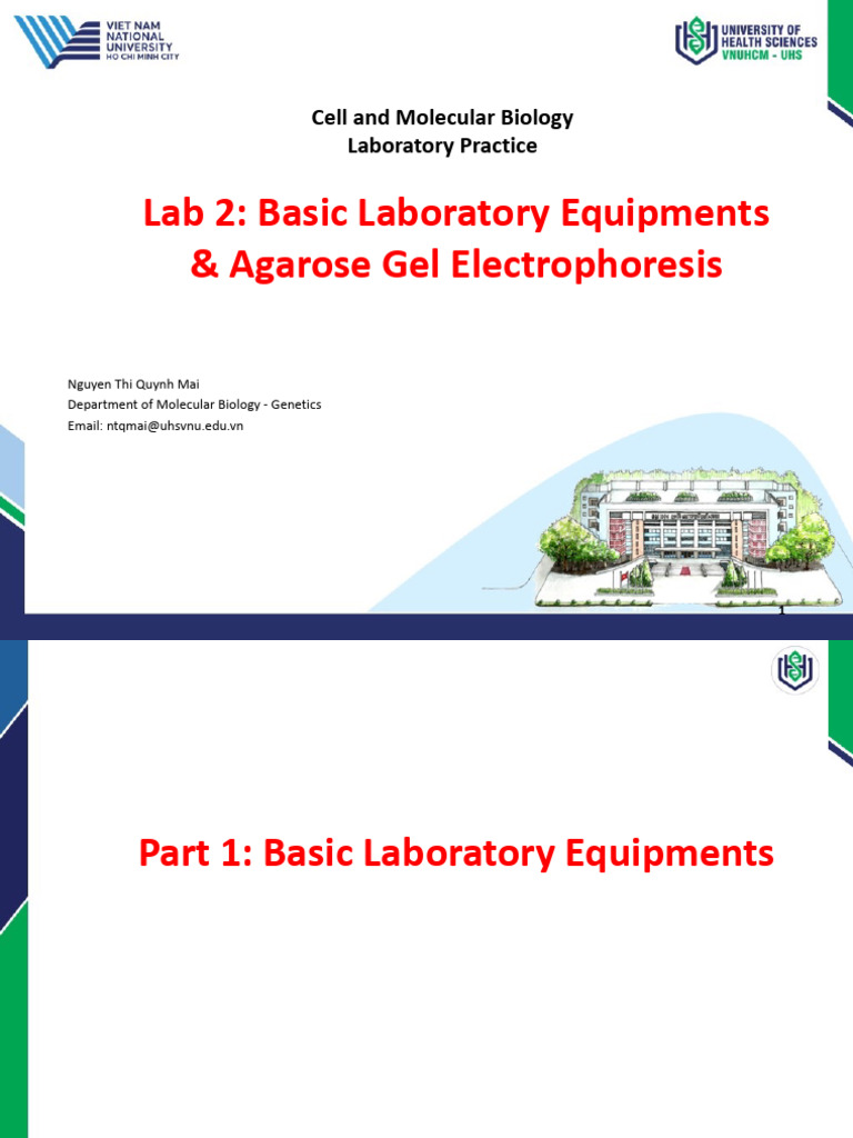 Lab2 Hands On & Electrophoresis | PDF | Agarose Gel Electrophoresis ...