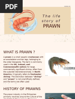 Giant Freshwater Prawn Farming Guide | PDF | Fishing Industry