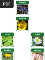 Tad Alt Hive Comp | PDF | Apoidea | Insect Rearing