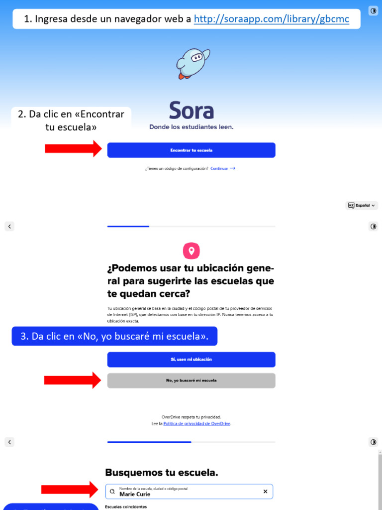 Instructivo Primer Ingreso Sora | PDF