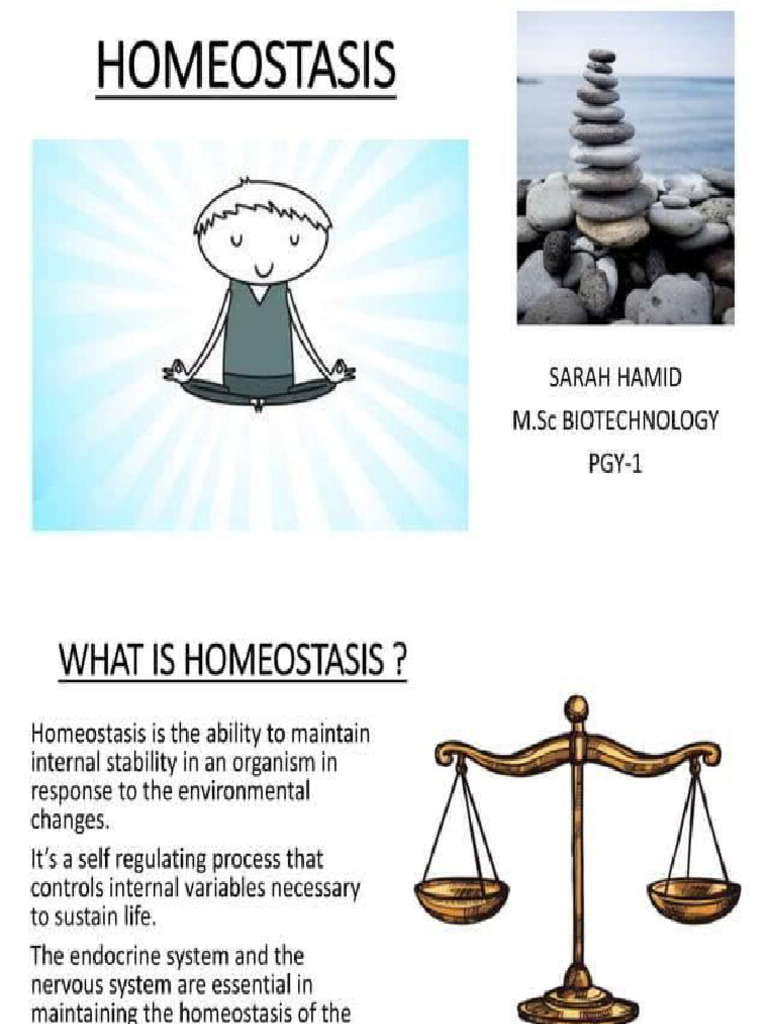 Homeostasis | PDF