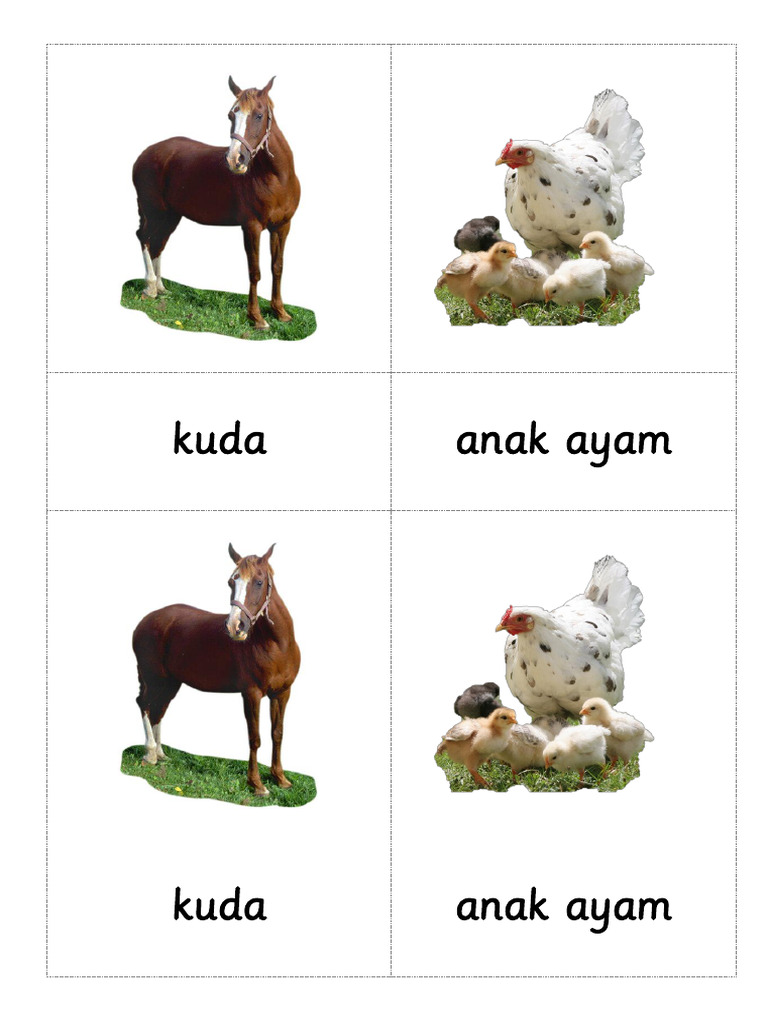 Farm Animals | PDF