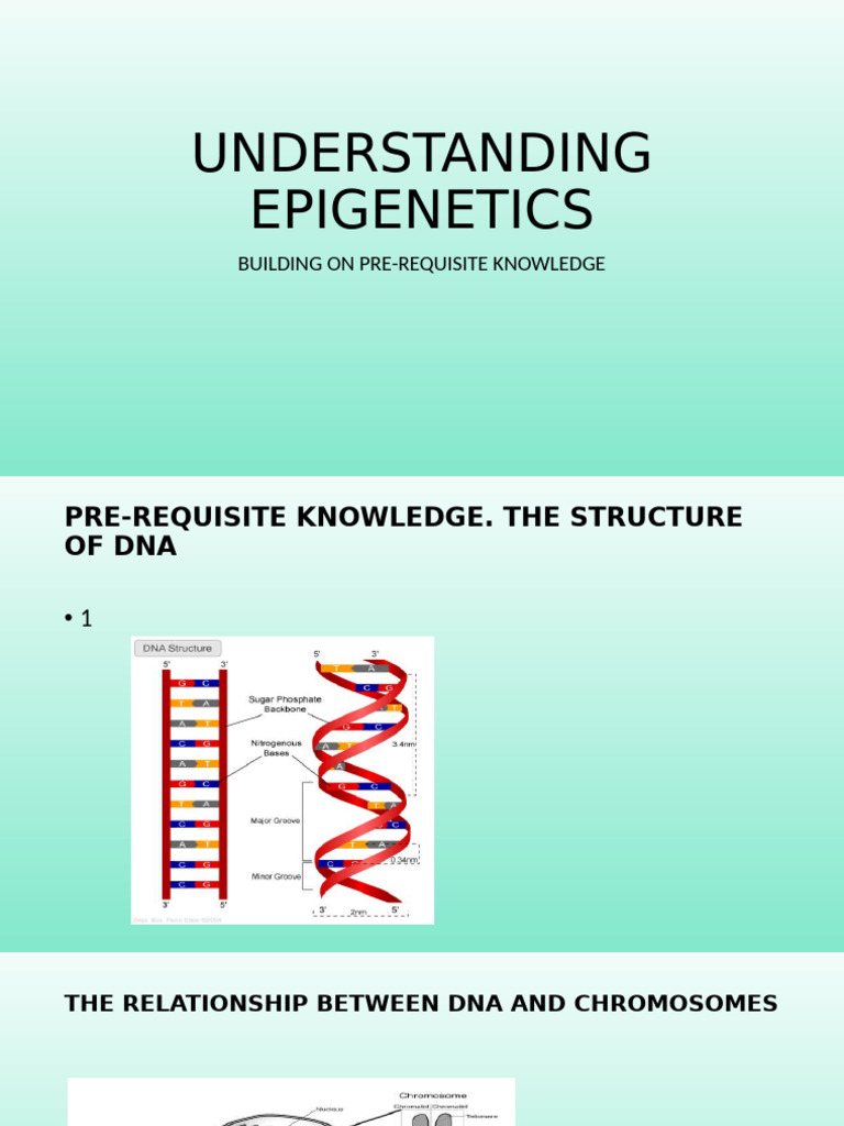 Understanding Epigenetics | PDF