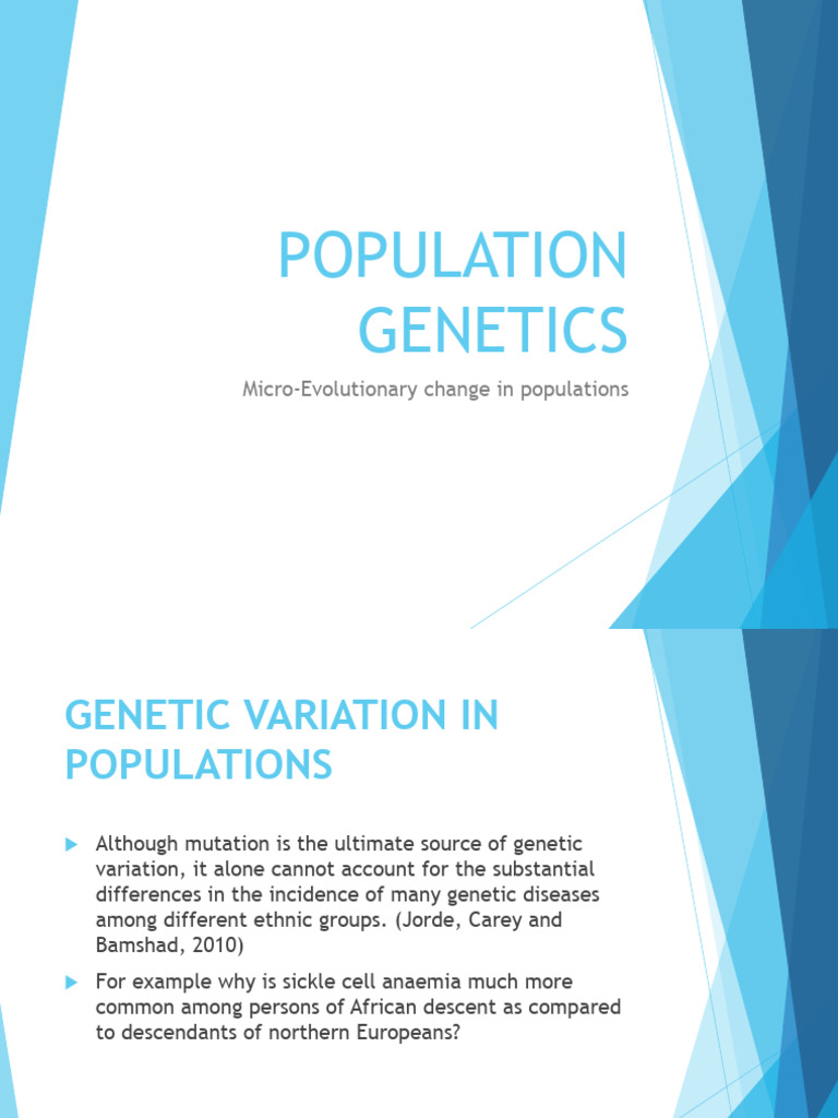 POPULATION GENETICS PPT | PDF | Natural Selection | Evolution