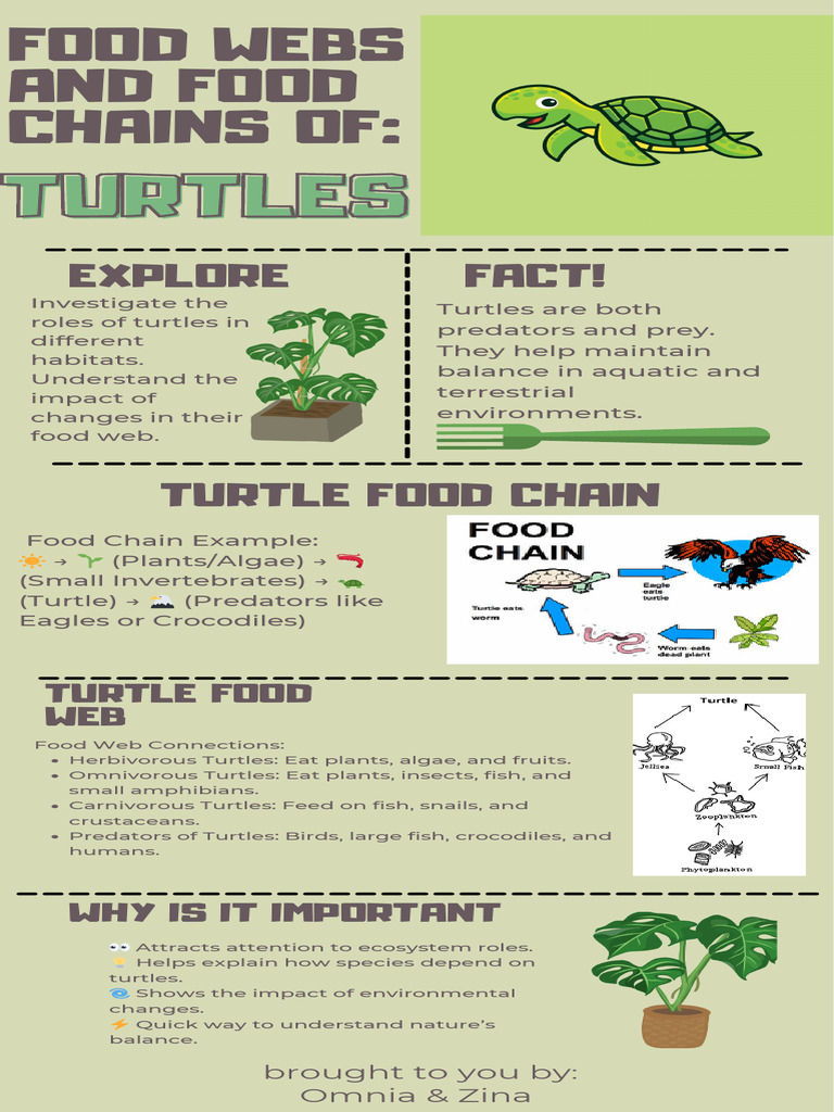 Green Brown Monstera Plant Fun Facts Infographic | PDF