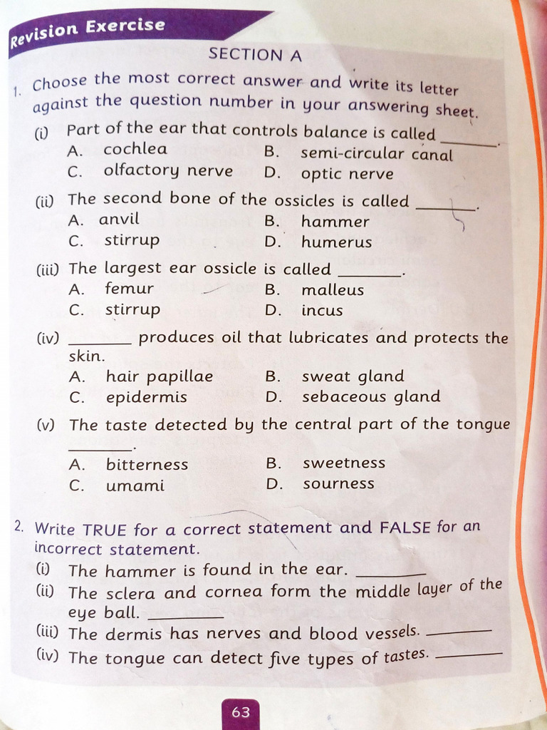 Science Questions Homework | PDF | Ear | Senses