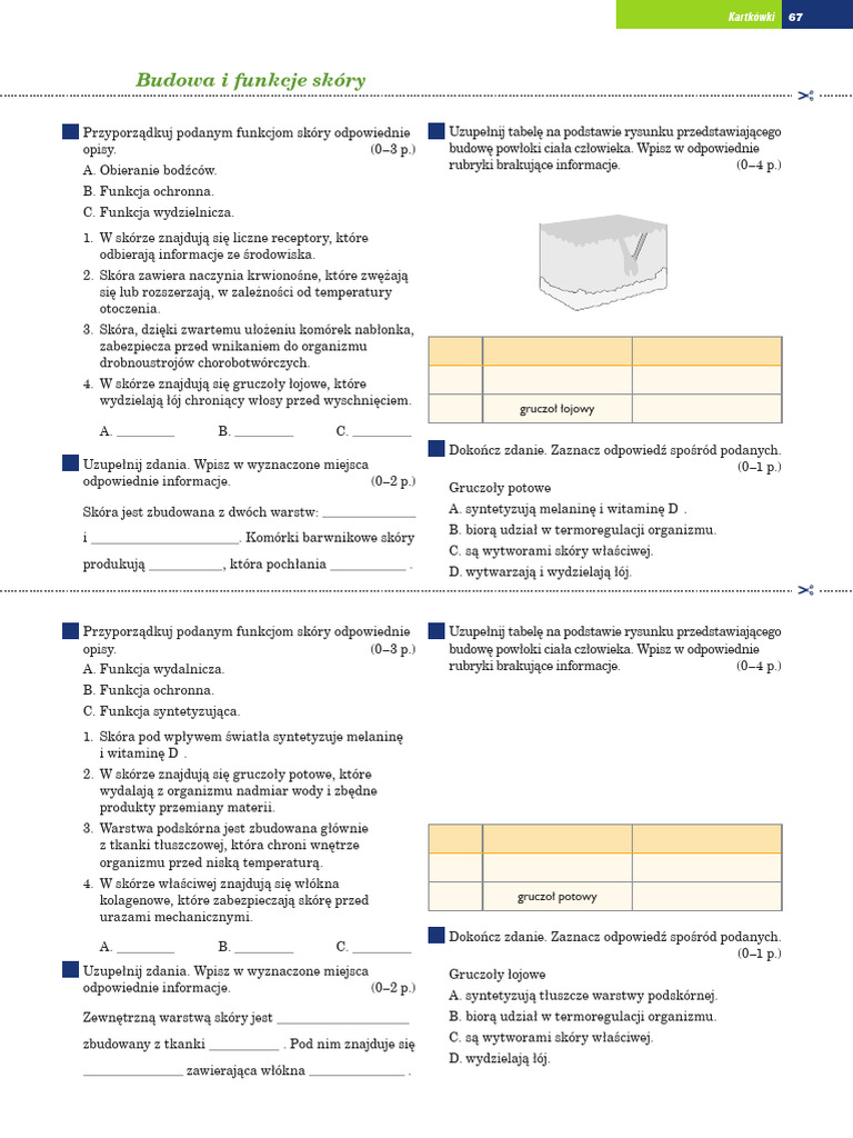 KL 7 - Kartkowka-Budowa-I-Funkcje-Skory | PDF