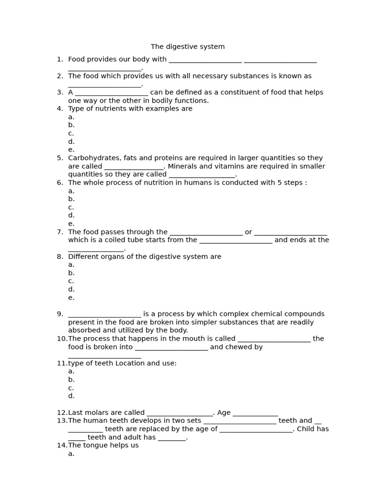 Digestive System Overview for Grade 6 | PDF | Digestion | Small Intestine