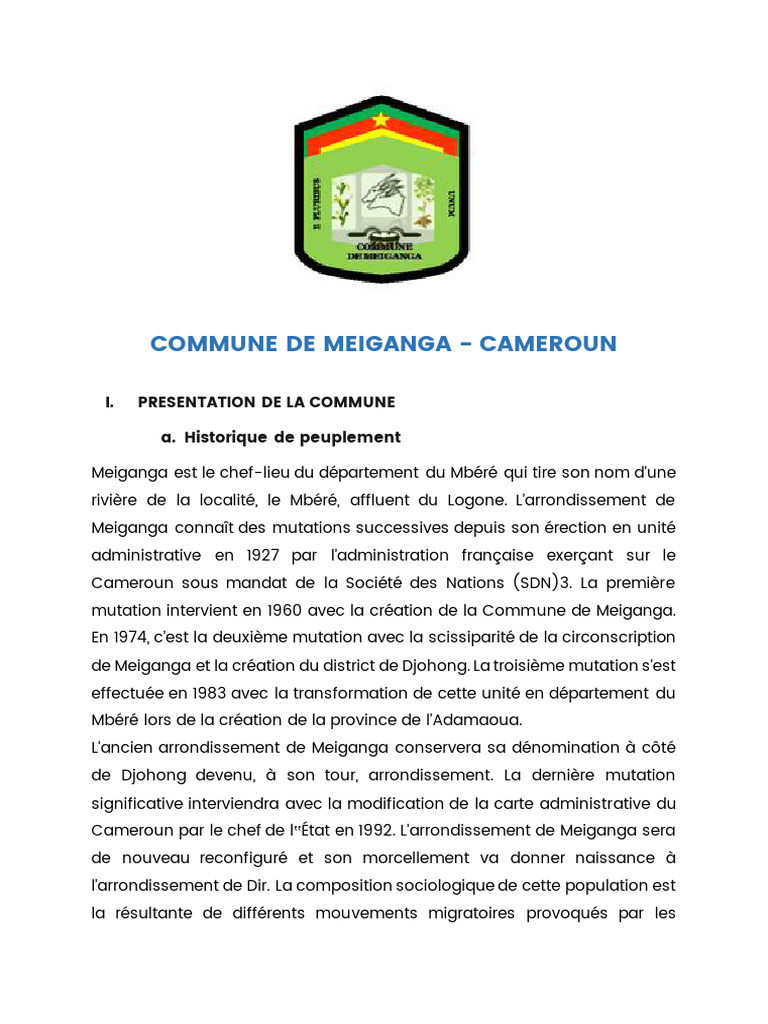 Histoire et développement de Meiganga | PDF | Eau | Fontaine