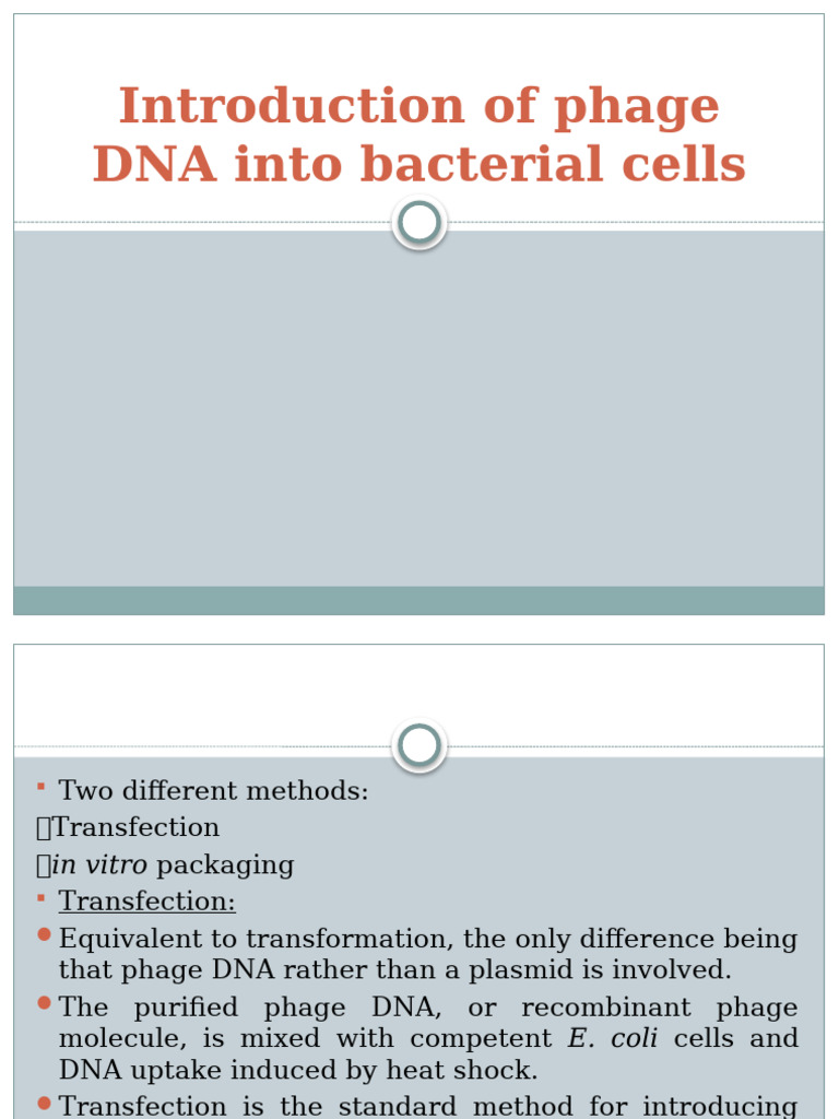 Introduction of Phage Dna Into Bacteria | PDF | Molecular Cloning ...
