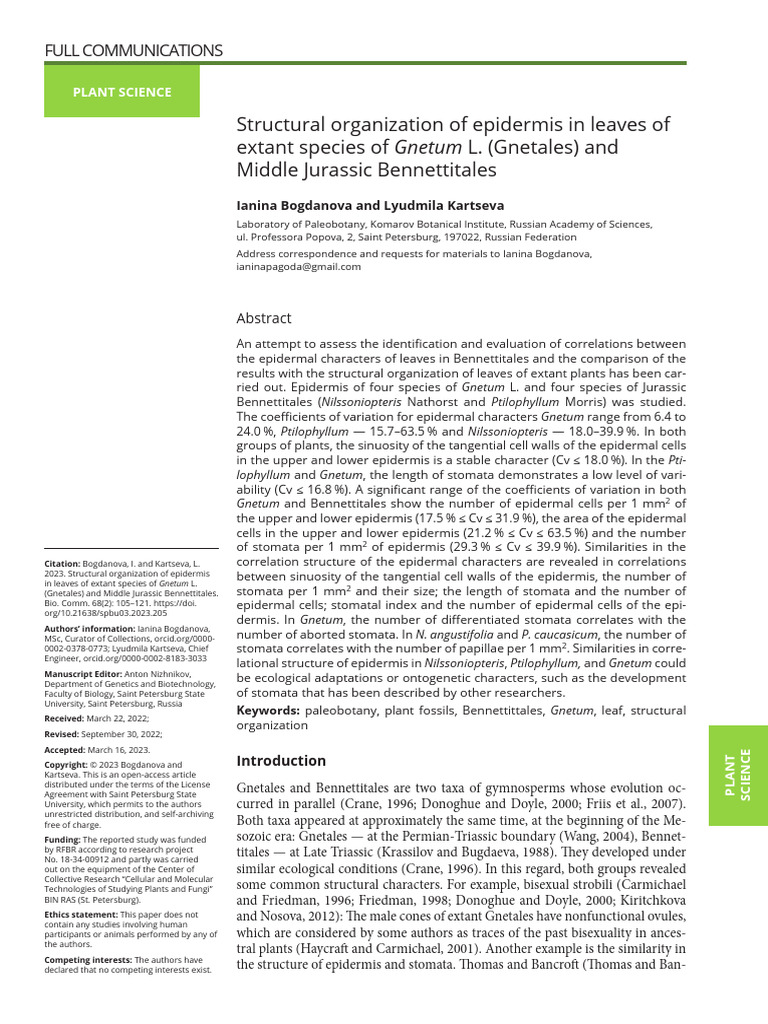 Structural Organization of Epidermis in Leaves of Extant Species of ...