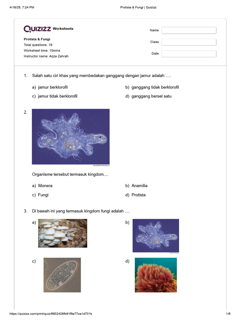 Protista & Fungi - Quizizz | PDF