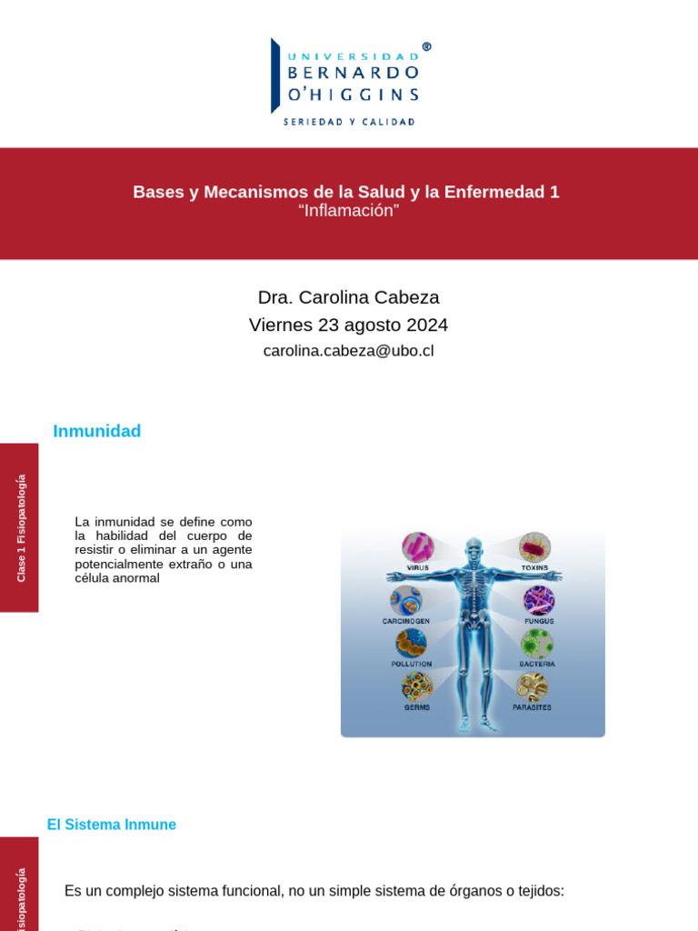 Clase 3 - Inflamacion | PDF | Inflamación | Sistema inmune