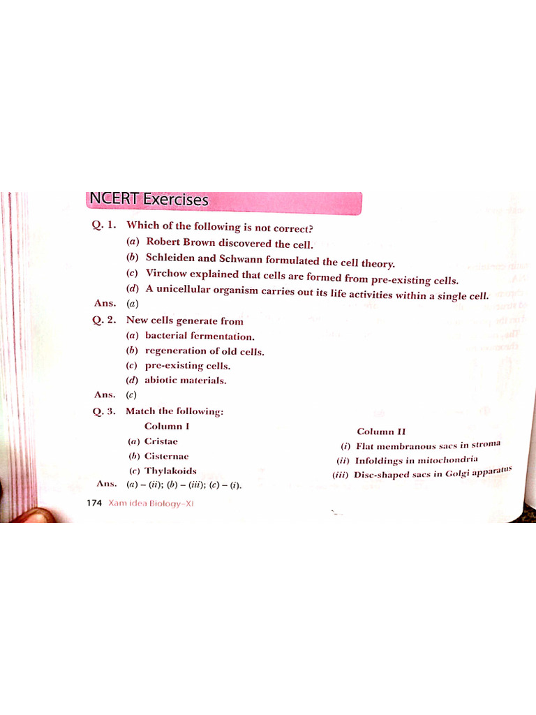 Cell Question Answer | PDF