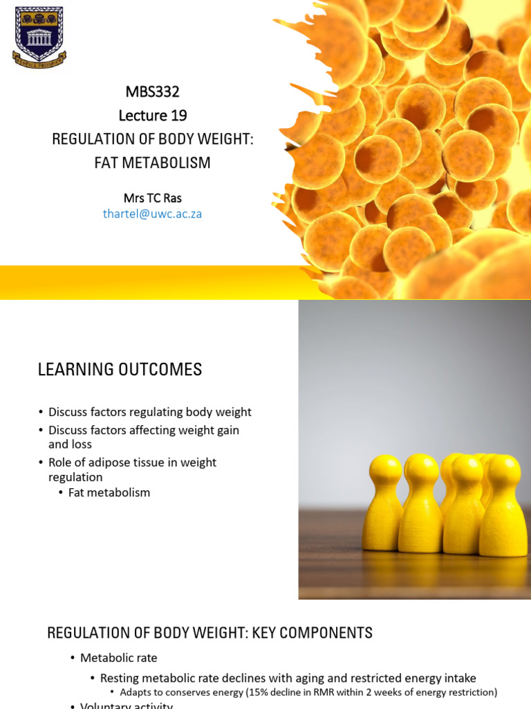 Lec 19 Fat Cell Metabolism | PDF | Adipose Tissue | Biochemistry