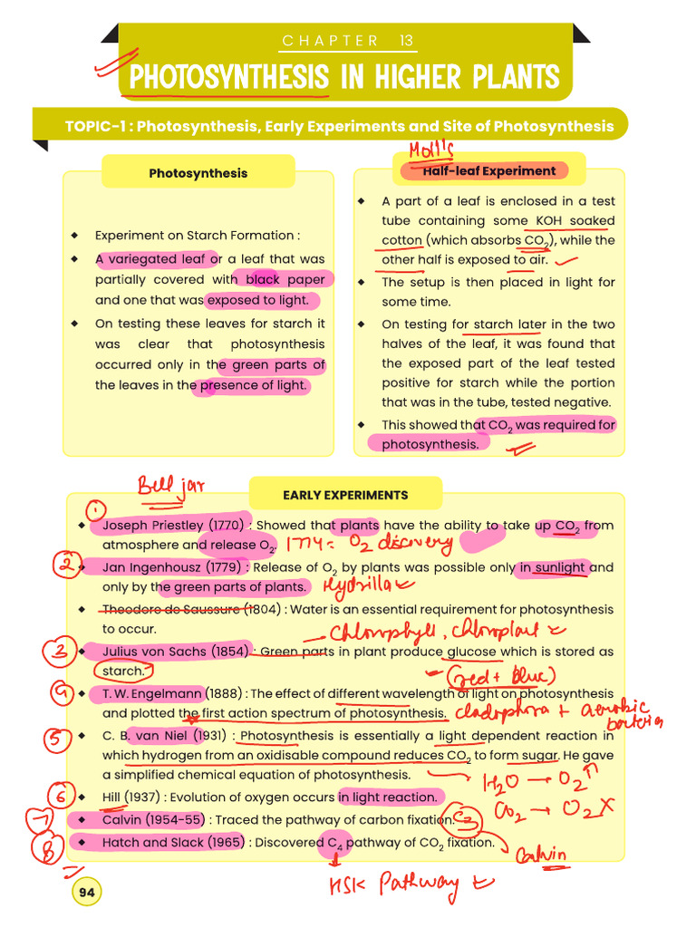 Photosynthesis Chintu Notes | PDF | Biology | Light